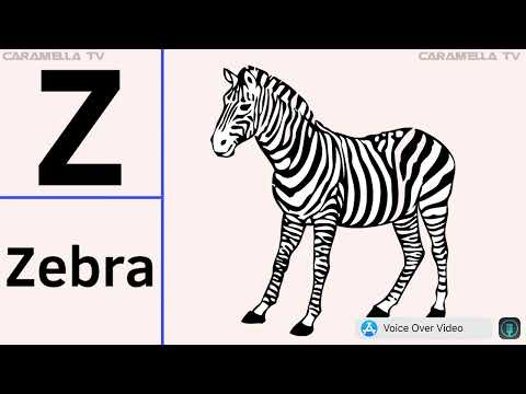 Letters X,Y,and Z with words @caramellatv9149