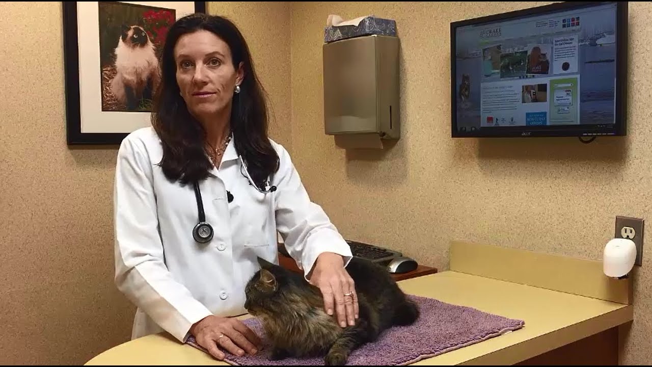 Why Are Recheck Exams So Important?