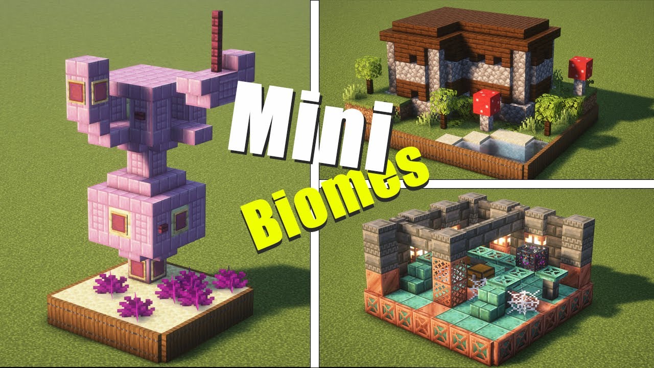 Minecraft: Top MINI Biomes!