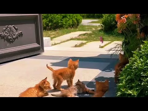 « Maman, s'il te plaît, reviens vite. »