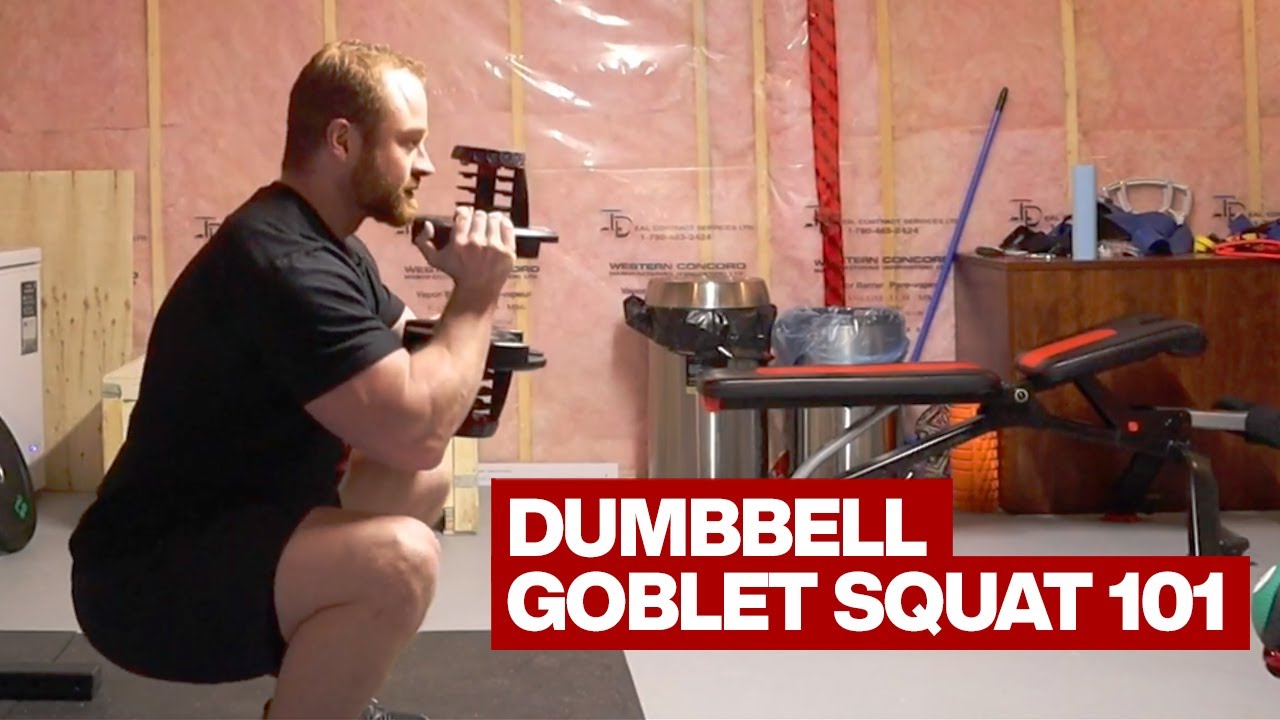 Dumbbell Goblet Squat