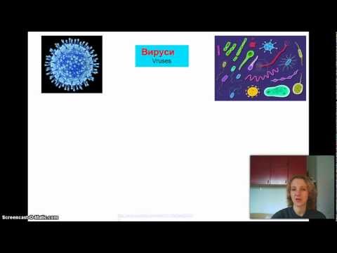 Virusi | Biologija u nastavi