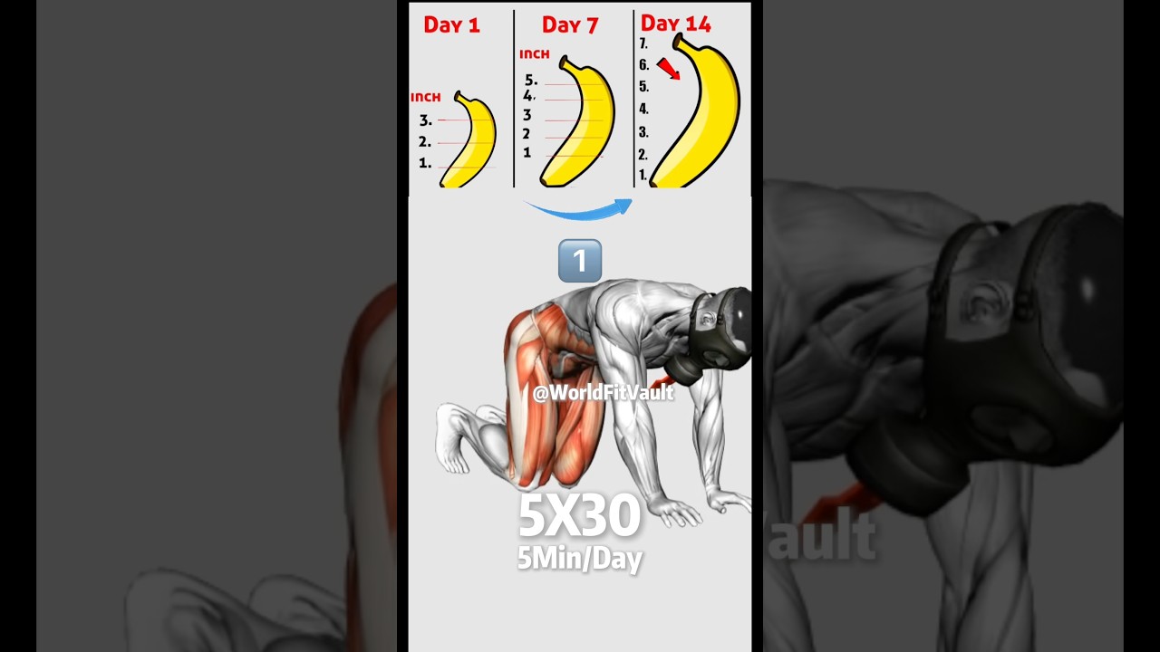 Exercise For Men !! Improve Strength + Stamina!