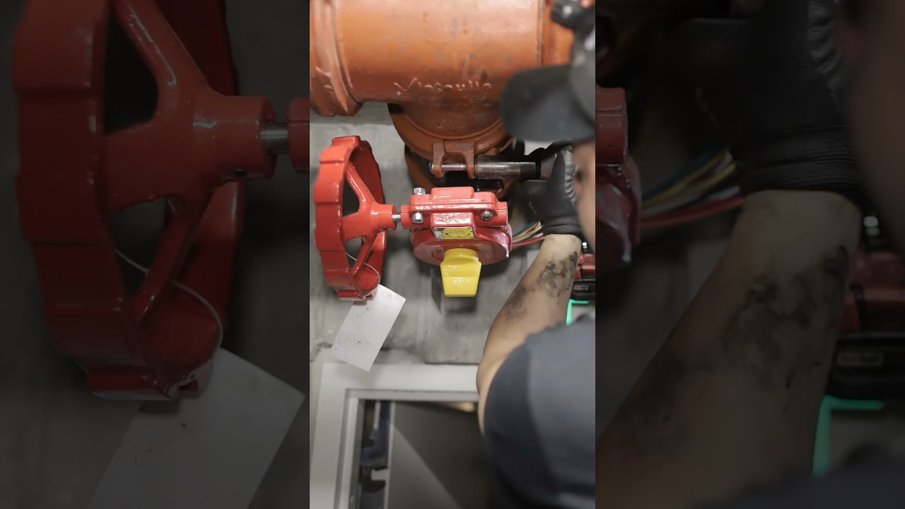 Fire Sprinkler System Maintenance #shorts