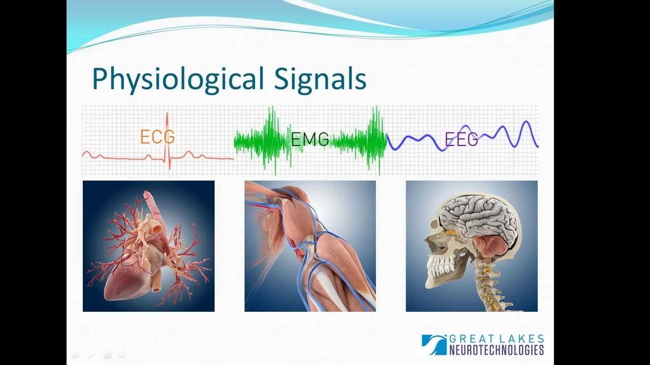 Webinar: Advanced Physiological Signal Processing