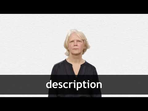 DESCRIPTION definition and meaning | Collins English Dictionary