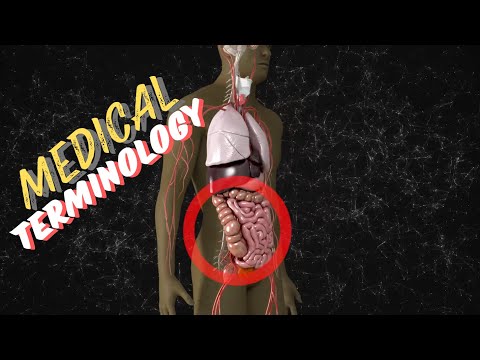Medical Terminology | Can you pass this quiz?