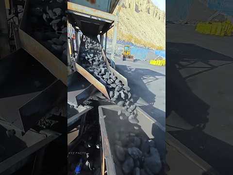 How Electricity Generated from Coal: The Process Explained!
