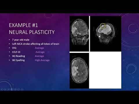 3 Developmental Psychology Physical and Cognitive Development of Infants and Toddlers