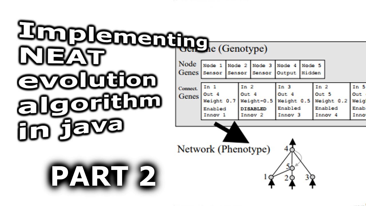 Implementing NEAT algorithm in java - PART 2