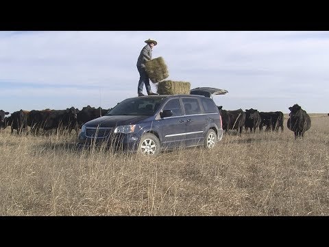 Ranchin' In My Van (Camila Cabello "Havana" Parody)