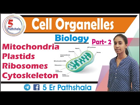 Cell Organelles in Bengali || Cell Organelles Part- 2 || Biology || 5 Er Pathshala
