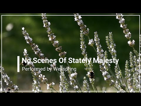 No Scenes of Stately Majesty Lyrics - Graham Kendrick