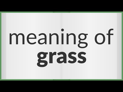 Grass | meaning of Grass