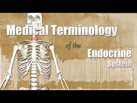 Medical Terminology of the Endocrine System