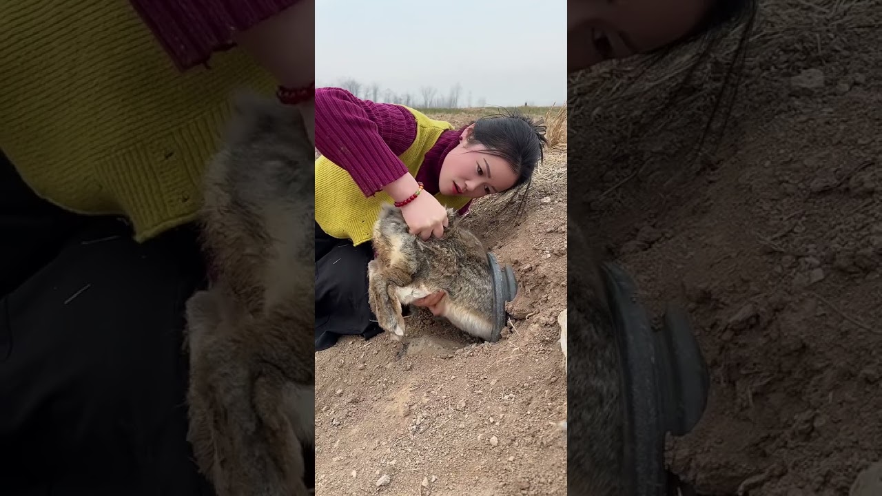 The.Xuyuanlianmaiguagua#shorts #trendingvideo #funny #trending #shorts #viralvideos, path,#01