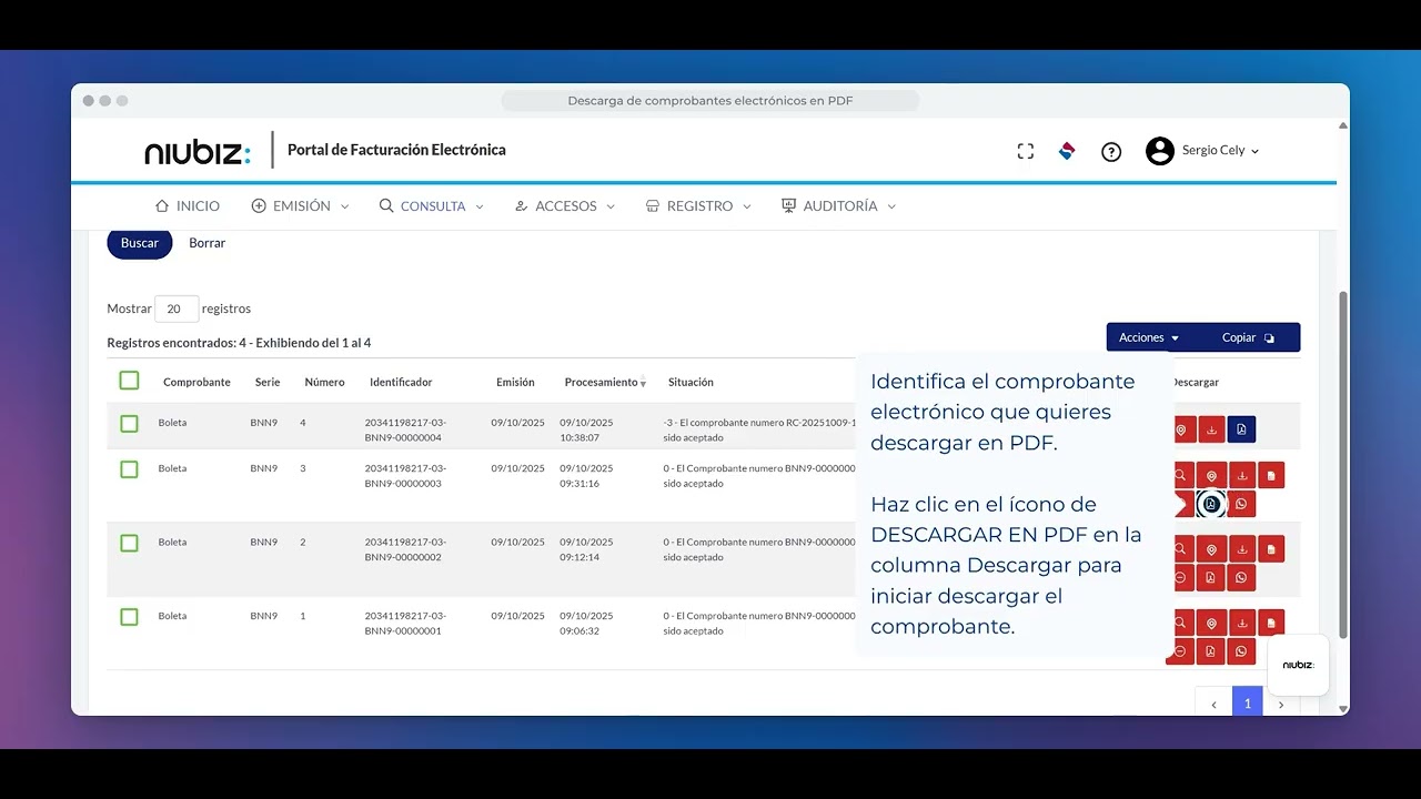 Facturación Electrónica: Descarga de comprobantes electrónicos en PDF