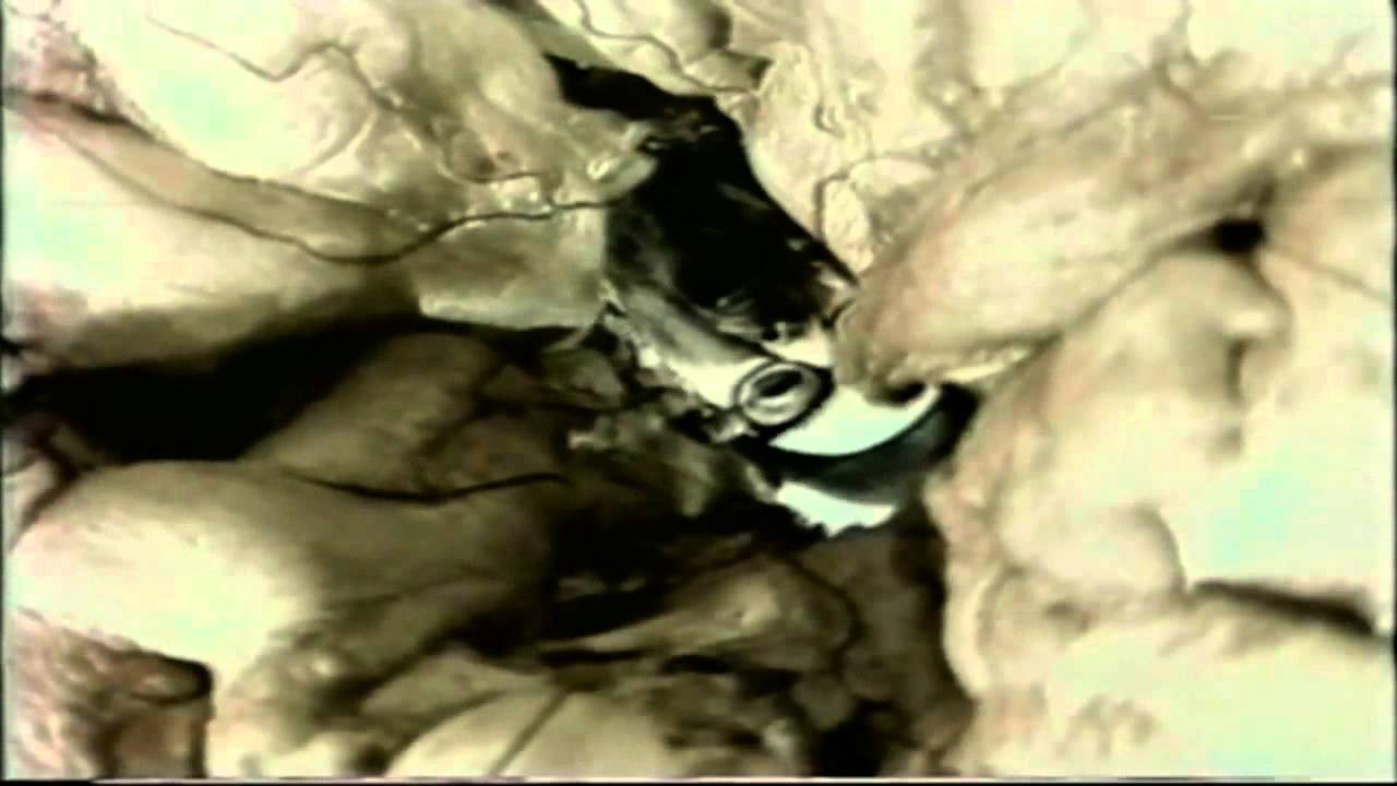 [WAX TRAX VOL.2] [11]. Meat Beat Manifesto - Strapdown