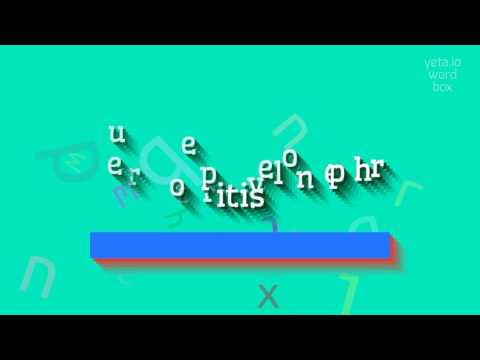 How to say "ureteropyelonephritis"! (High Quality Voices)