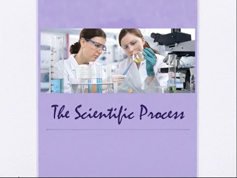 The Scientific Process