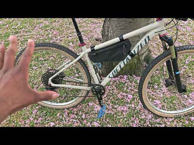 A Comprehensive Review of Vittoria Barzo Tires: Performance, Durability ...