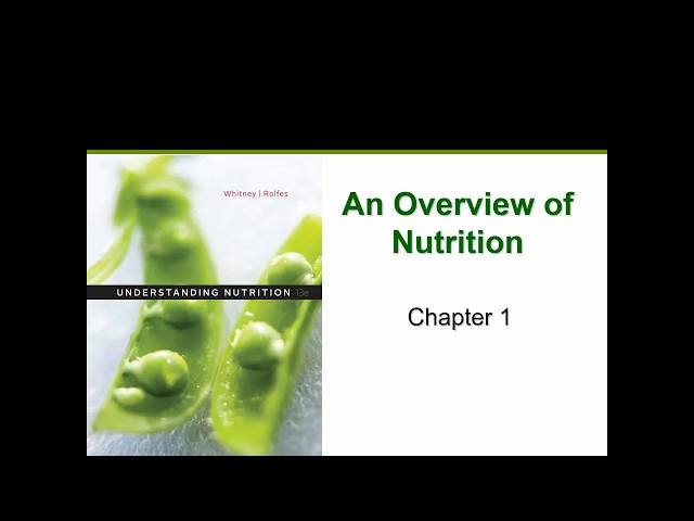 Understanding Nutrition: An Overview of Key Concepts and ...