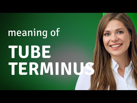 Understanding 'Tube Terminus': A Guide for English Language Learners