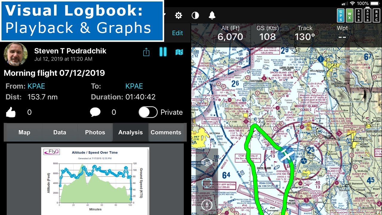 Visual Playback and Analysis