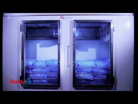 The Ice Factory