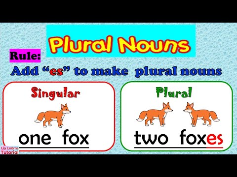 NOUN  ||  Adding /-es/ to Words Ending in CH, SH, S, X, & Z  || Plural Nouns ||  Liy Learns Tutorial