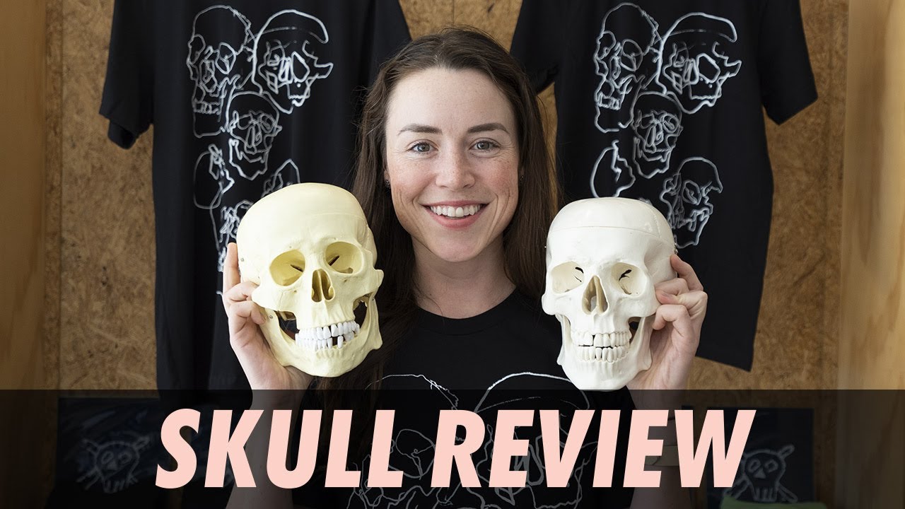 Anatomically Correct Skull Review