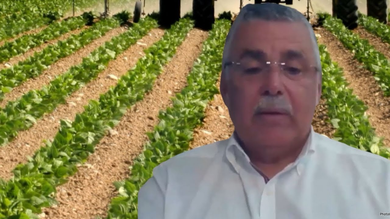 KRIZË në BUJQËSI?/ EKSPERTI Pilku rrëfen problematikat e mëdha ...