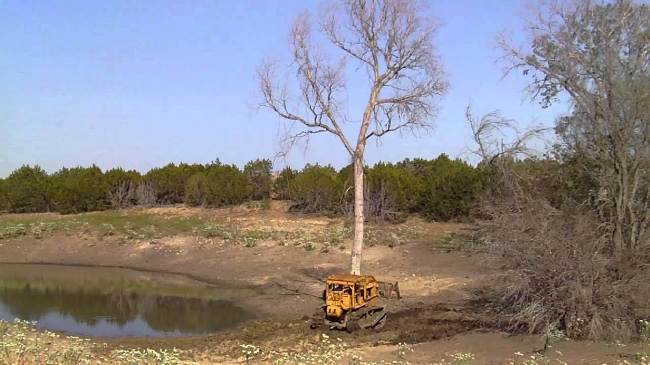 D7 vs Giant Tree