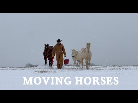 News from The Homestead - The Jackson Press