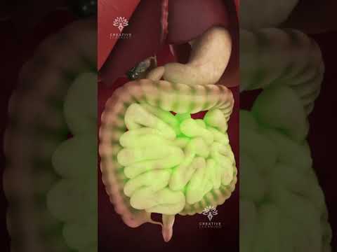How Pills Are Absorbed in Your Body #shorts #viralvideo - creativelearning3d