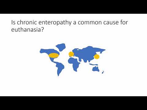 Chronic enteropathy in canines - Video abstract [ID 162774]