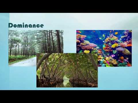 Organization of Communities | Environmental Science