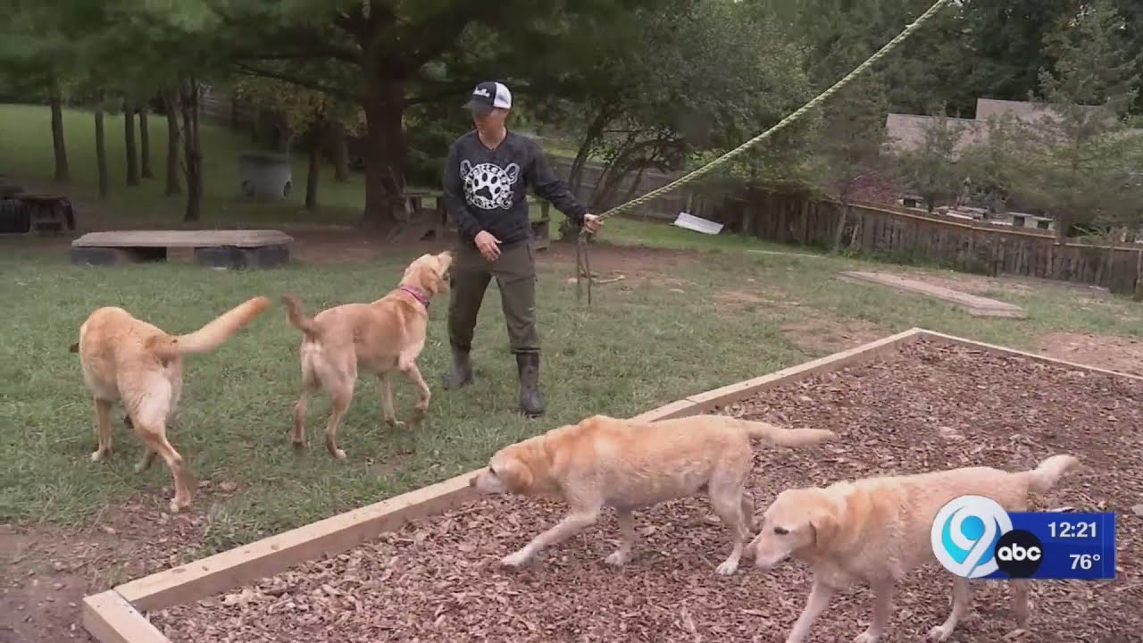 Critter Sitters crushes cancer with self-care Sunday