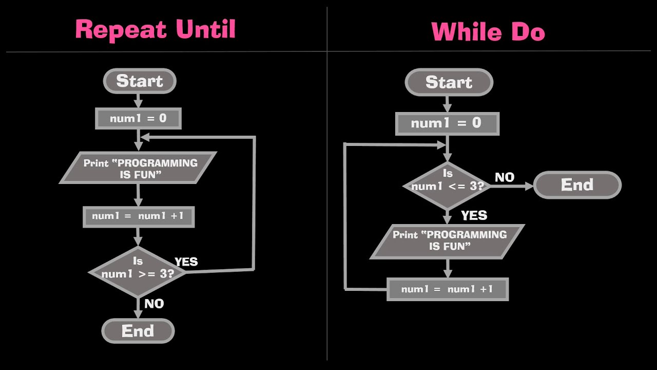 Pascal | Difference between repeat until loop and while do loop