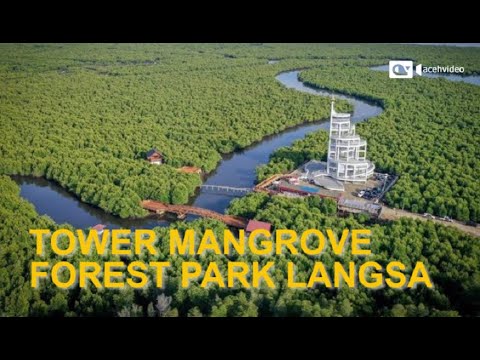 Tower Mangrove Forest Park Langsa, Ikon Wisata Baru di Kota Langsa