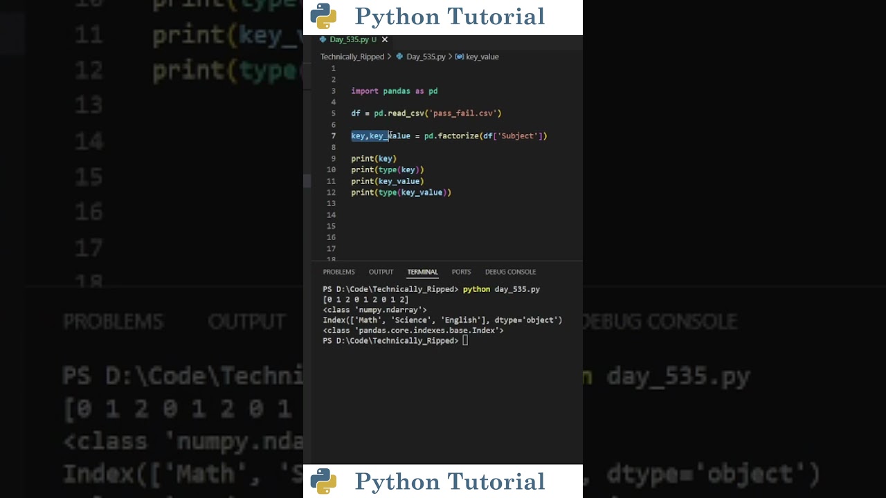 Encoding Values In A Pandas Dataframe | Python Tutorial