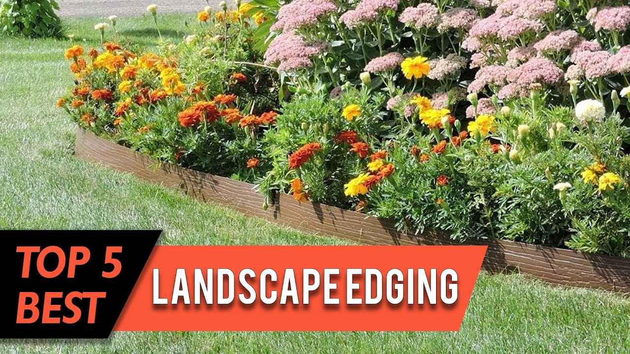 5 Best Landscape Edging | for No-Dig Edging, Grass Barrier, Bender Board, Garden Borders Review 2023