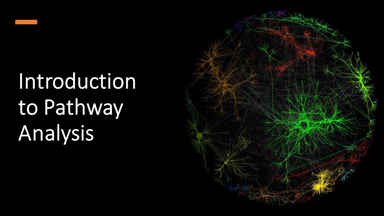 Introduction to pathway analysis