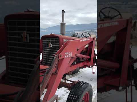 1969 IH 656 Western Special Idling