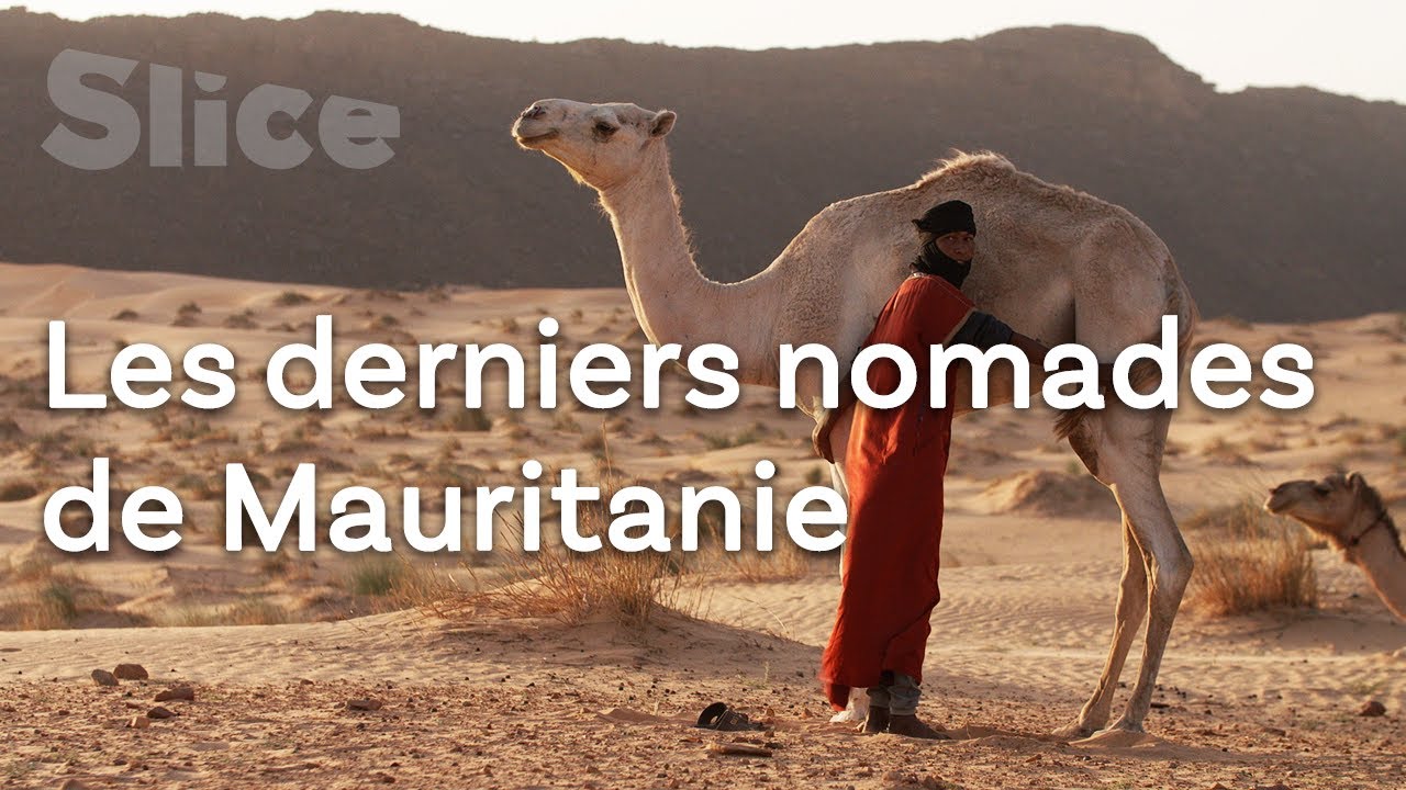 Documentaire | Les derniers pasteurs nomades de l’Adrar
