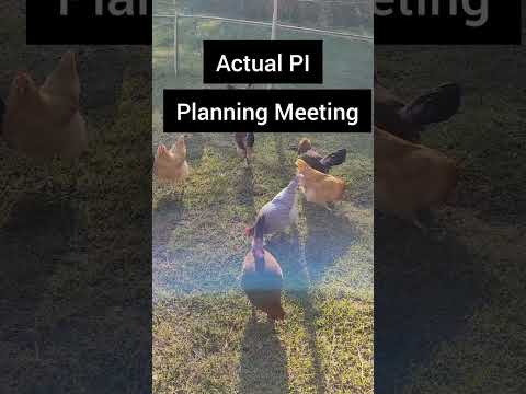What PI planning looks like.