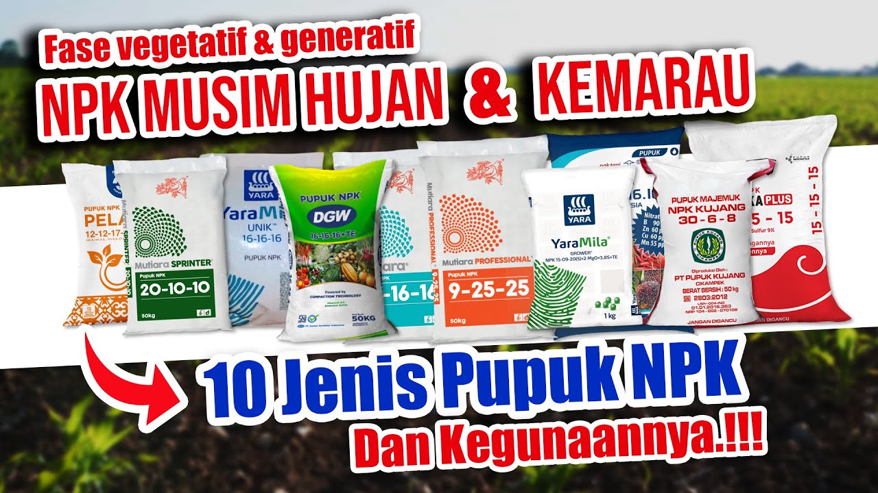 10 JENIS PUPUK NPK DAN KEGUNAANNYA | NPK Musim Hujan & Kemarau