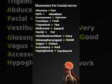 Easy Mnemonics for Cranial nerves | Doctor Speaks