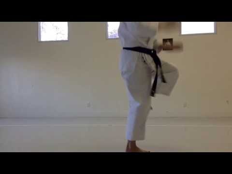 Jutte in regular speed and slow motion | MyShotokan Self Review ...