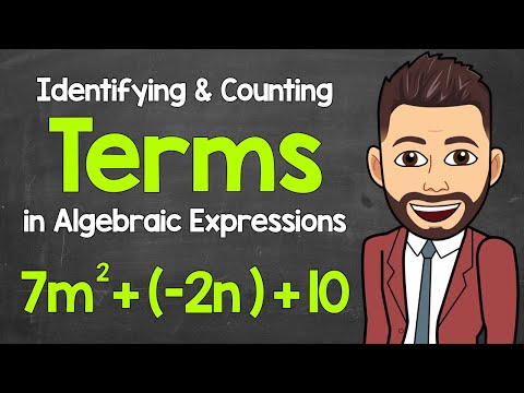 Identifying and Counting Terms in Algebraic Expressions | Math with Mr. J